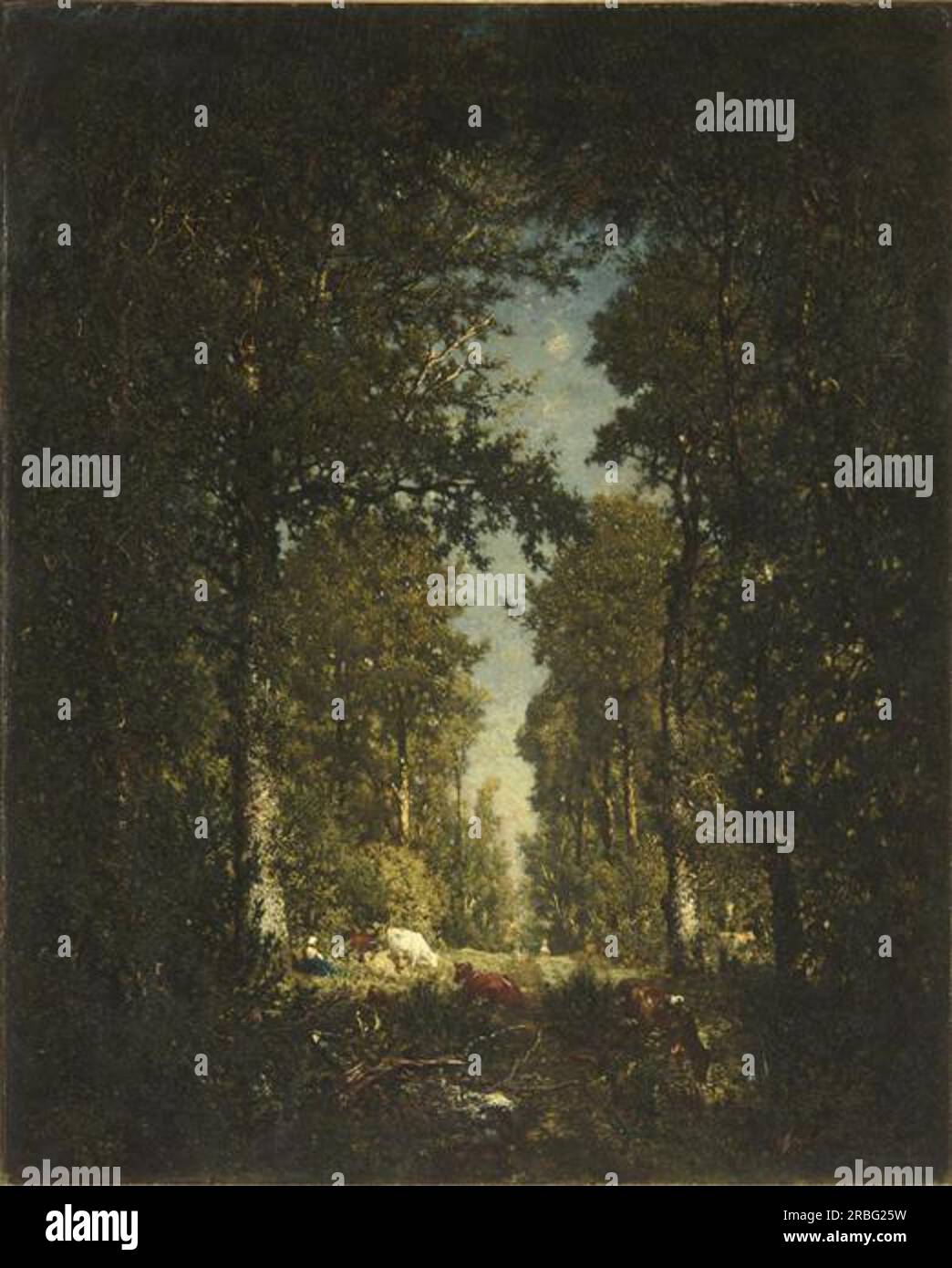 Avenue, Forest Isle Adam 1849 by Theodore Rousseau Stock Photo - Alamy