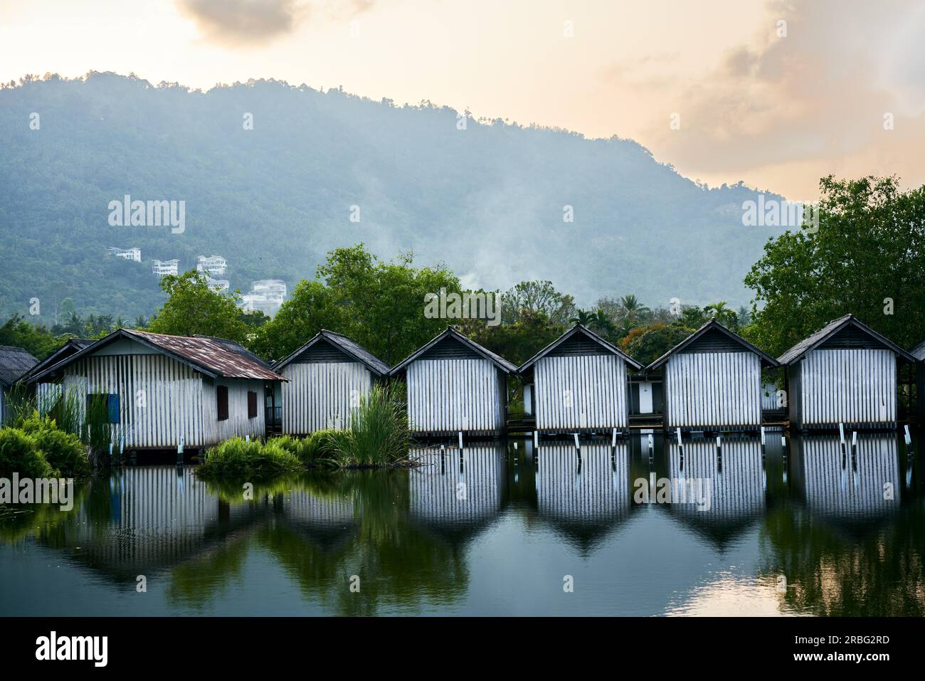 Thailand slum houses hi-res stock photography and images - Alamy