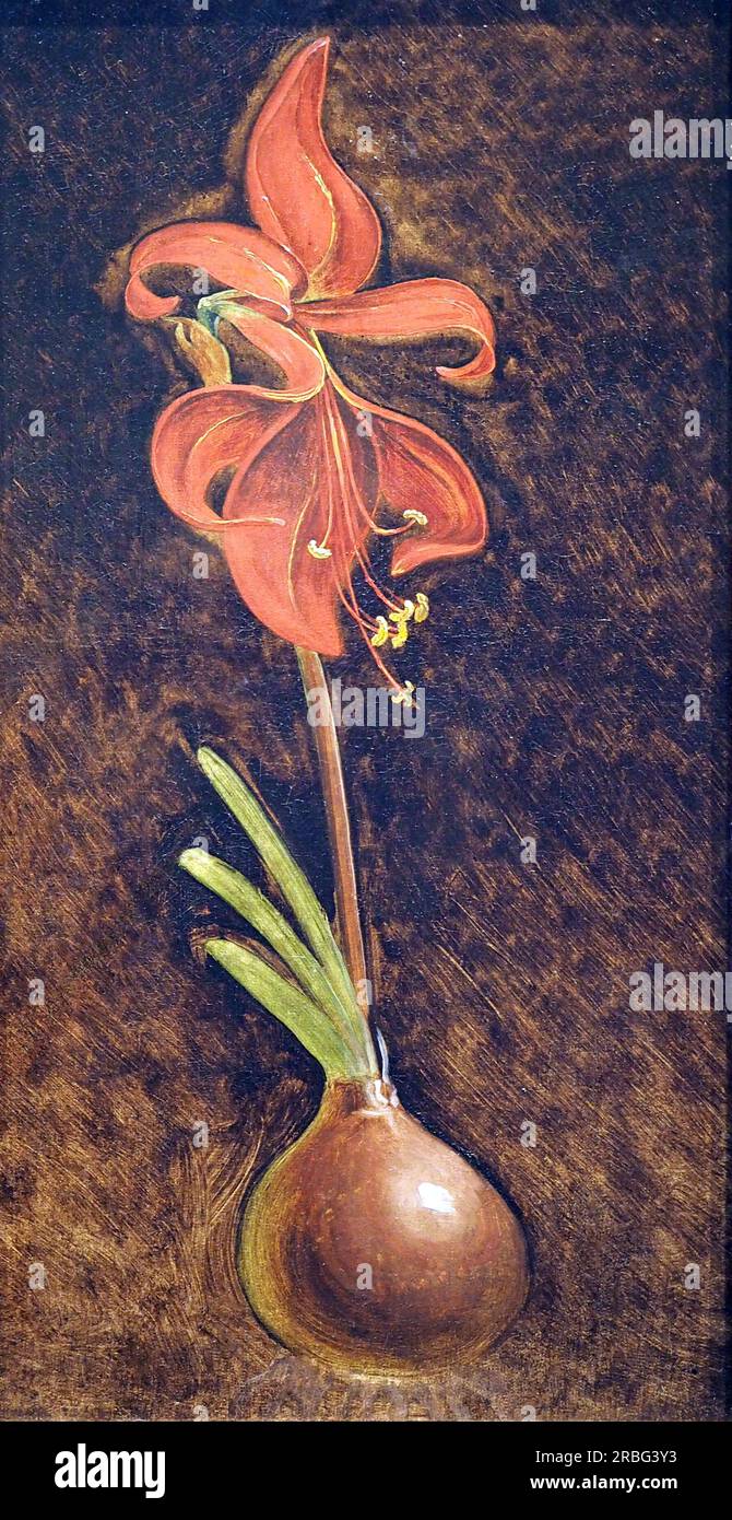 Philipp otto runge flower hi-res stock photography and images - Alamy