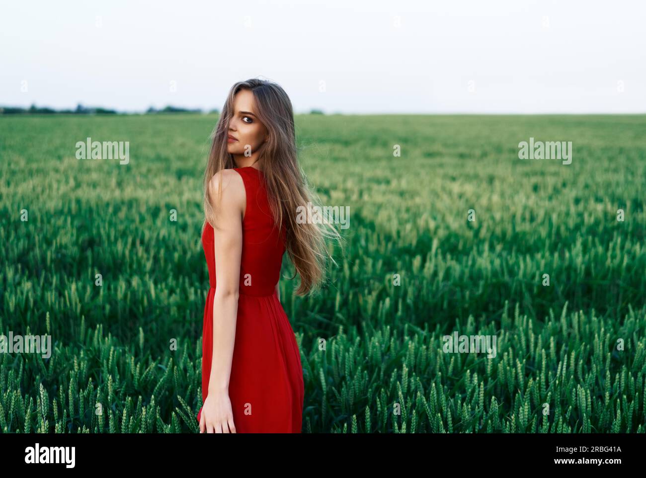 Beautiful young woman in red dress posing outdoors in green summer field. Fashion, beauty ...