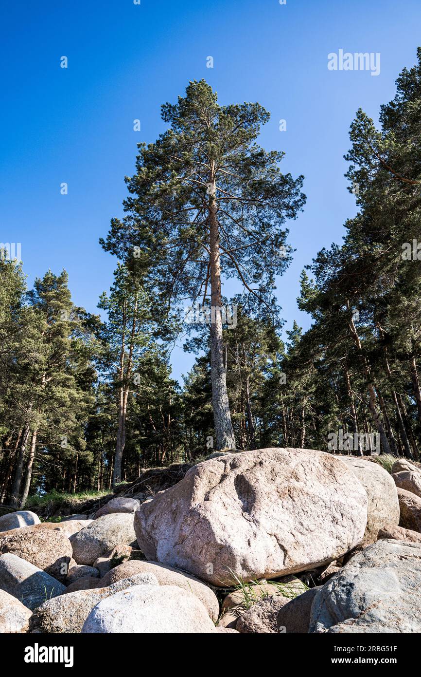 Scenic photo relief hi-res stock photography and images - Alamy