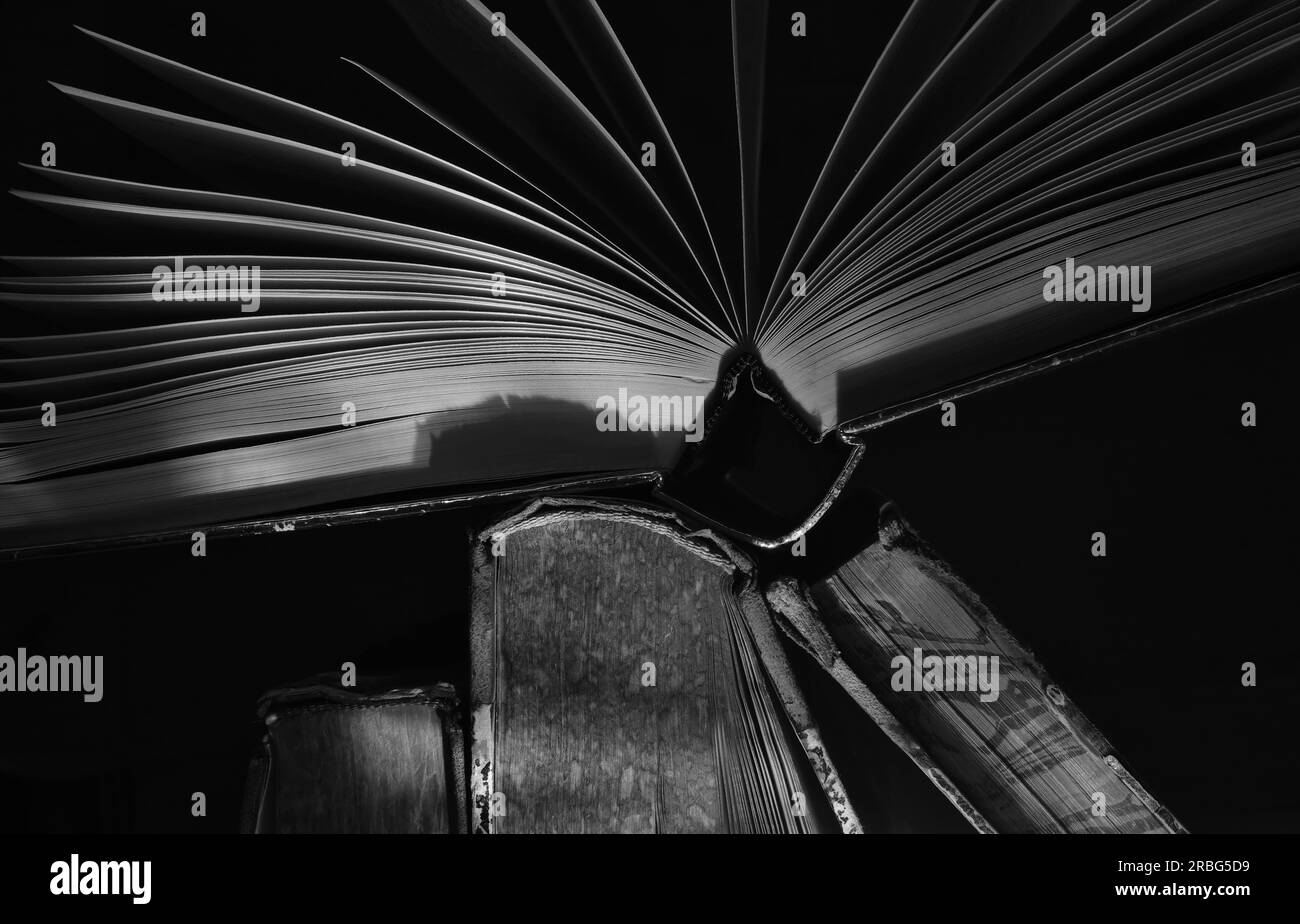 People education concept close hi-res stock photography and images - Alamy