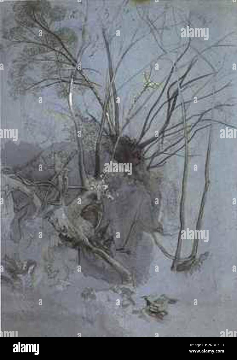 Tree study 1845 by John Ruskin Stock Photo - Alamy