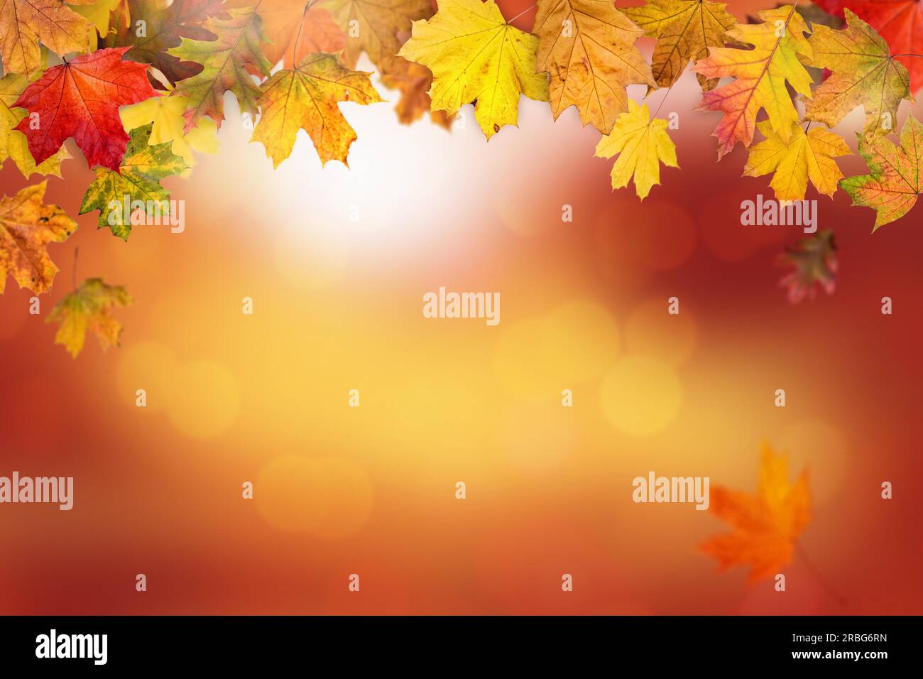 Bokeh frame hi-res stock photography and images - Alamy