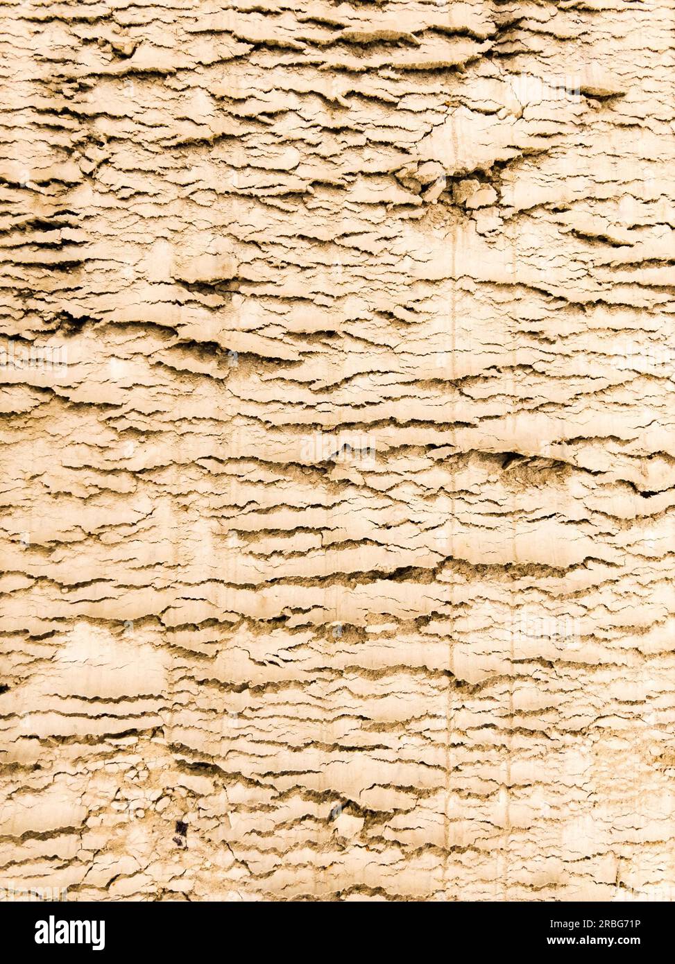 Compressed sand texture on a construction site. Useful as background of ...