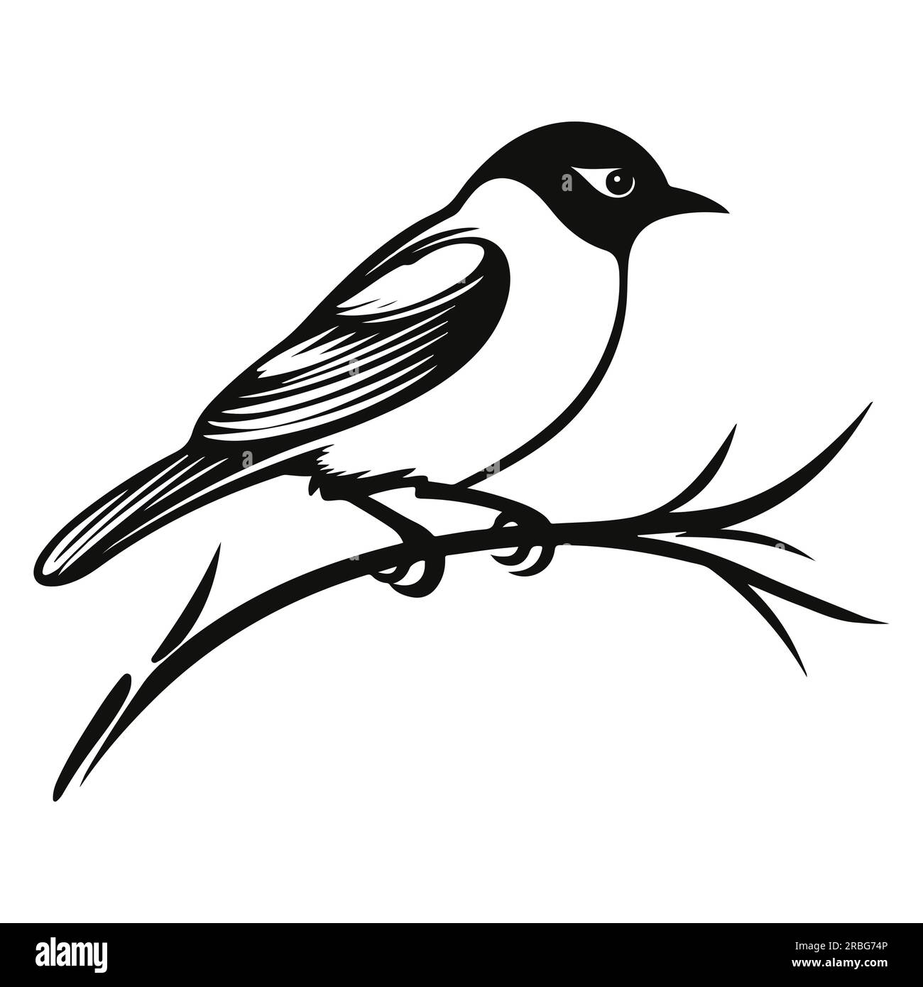 Sparrow on garden bird Stock Vector Images - Alamy