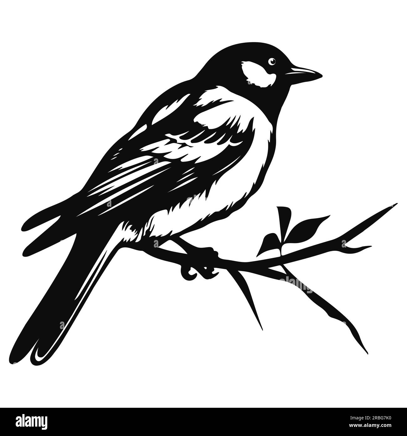 Sits on leaf Stock Vector Images - Alamy