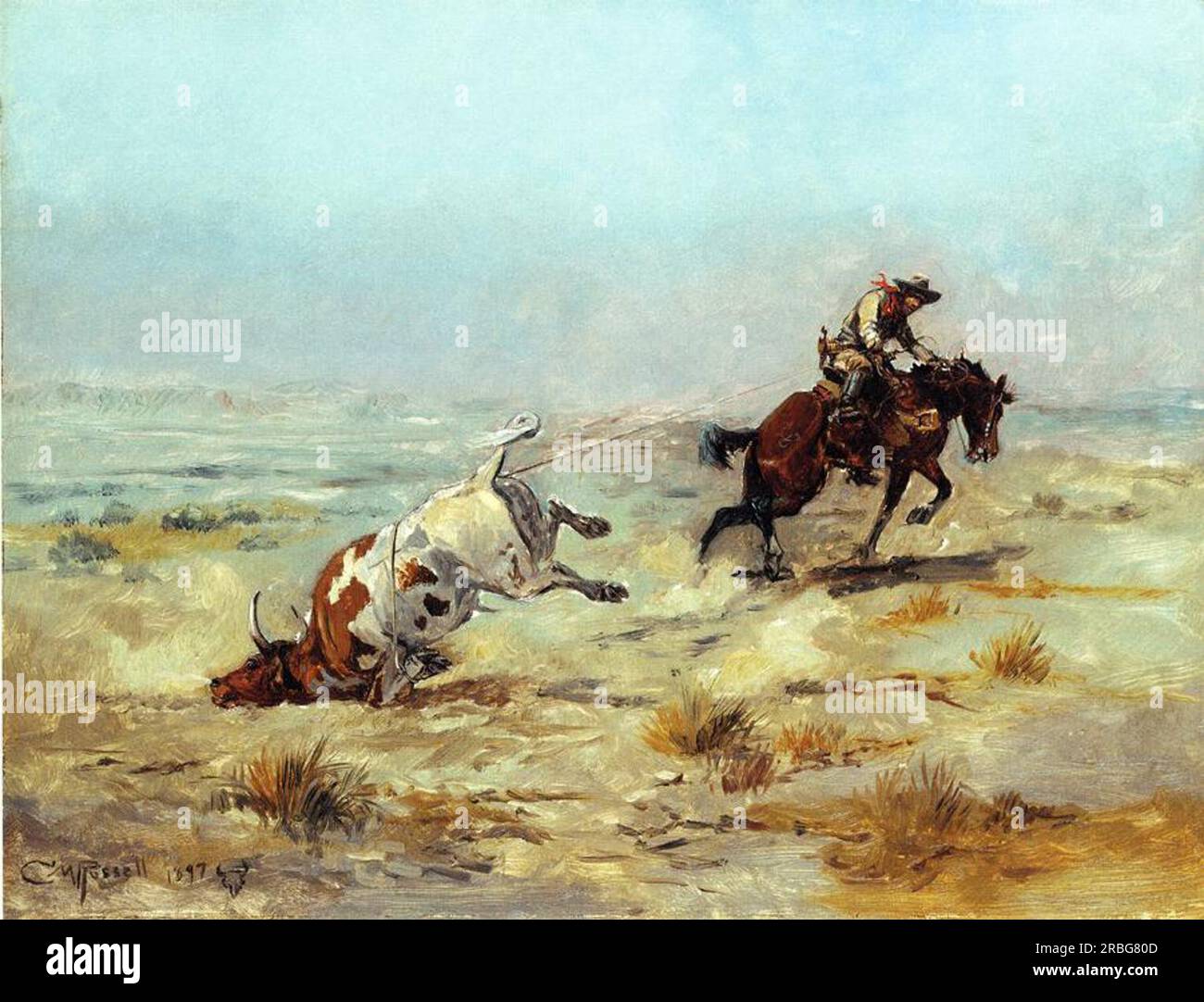 Lassoing wild horses hi-res stock photography and images - Alamy