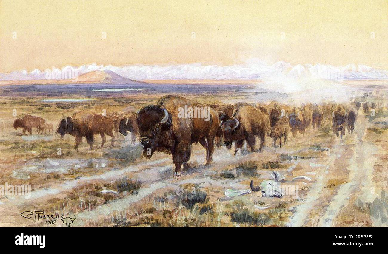 Native american art bison hi-res stock photography and images - Alamy