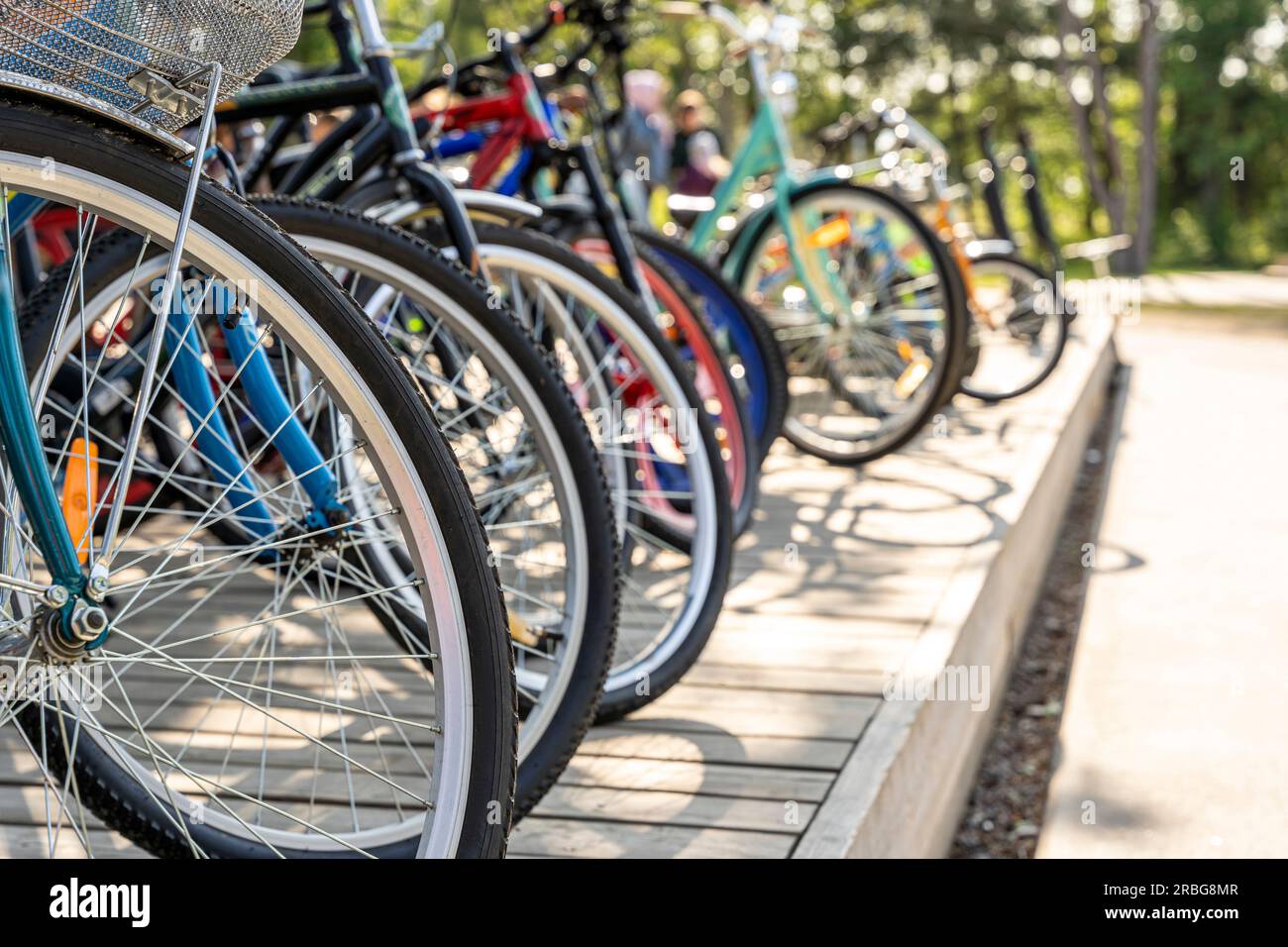 Bicycles standing in a row in the parking lot in the city park. bicycle ...