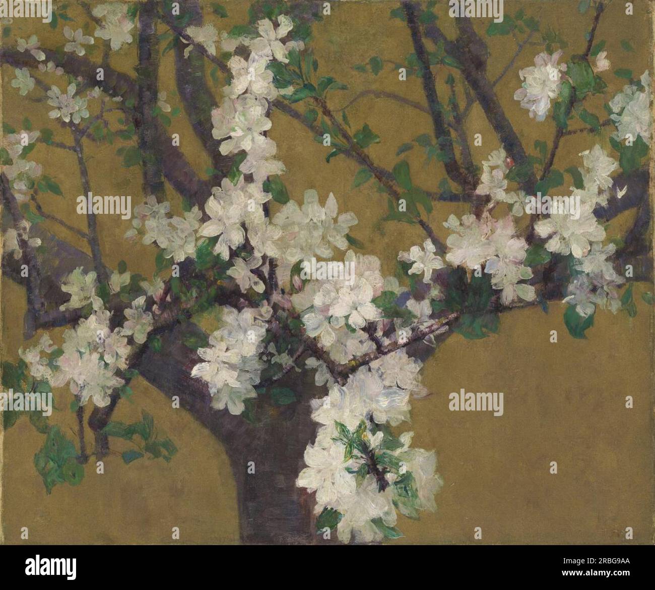 Peter almond hi-res stock photography and images - Alamy