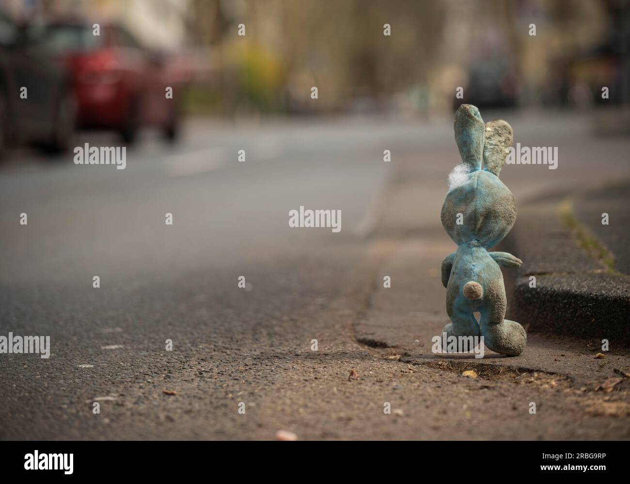 Rabbit on dirt road hi-res stock photography and images - Alamy