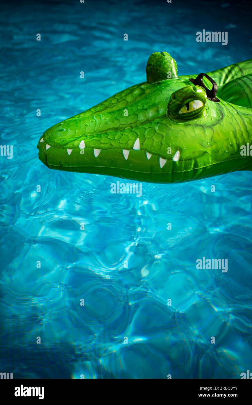 Wildlife krokodil hi-res stock photography and images - Alamy