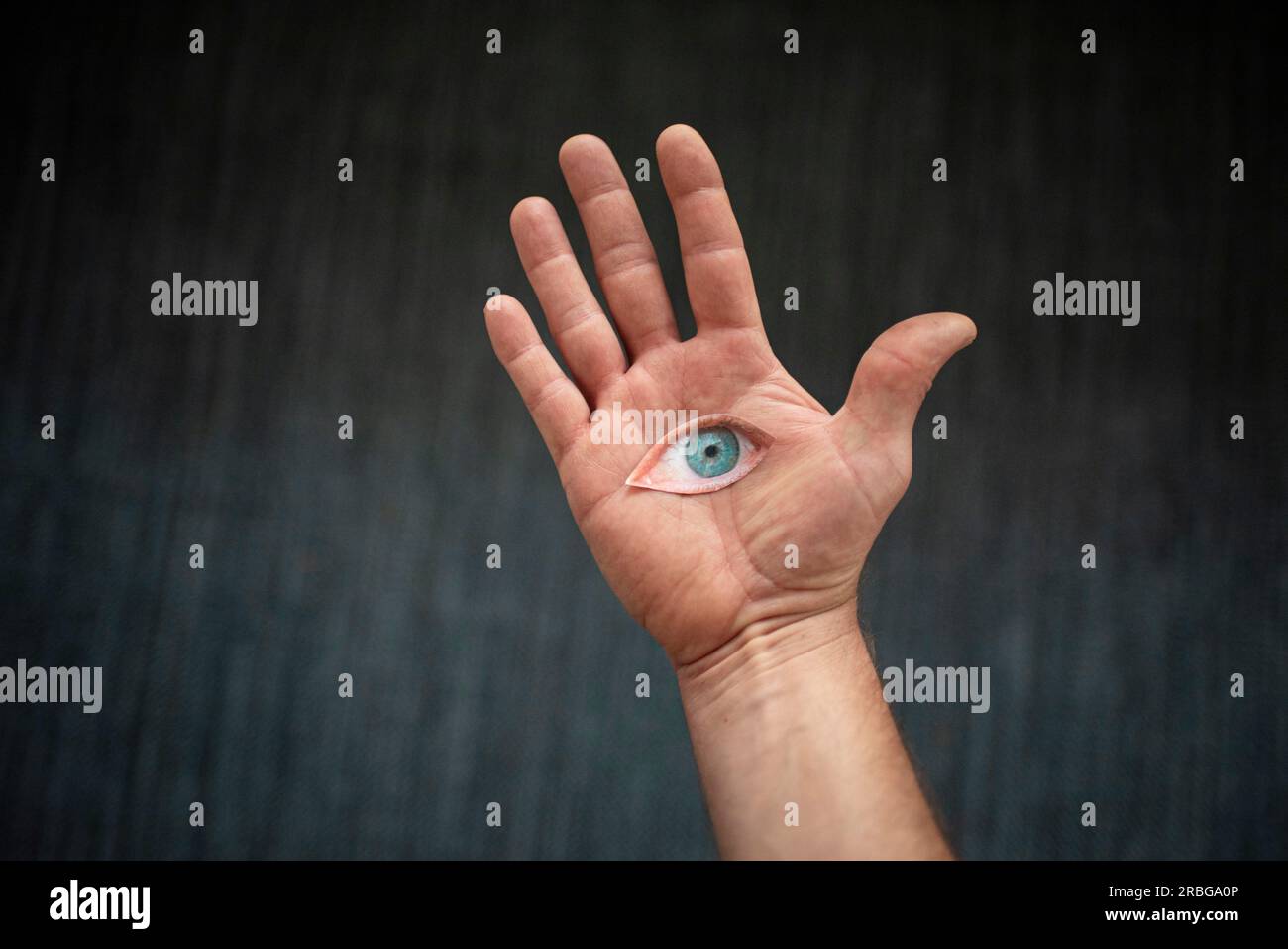 Wildlife eye shape hi-res stock photography and images - Alamy