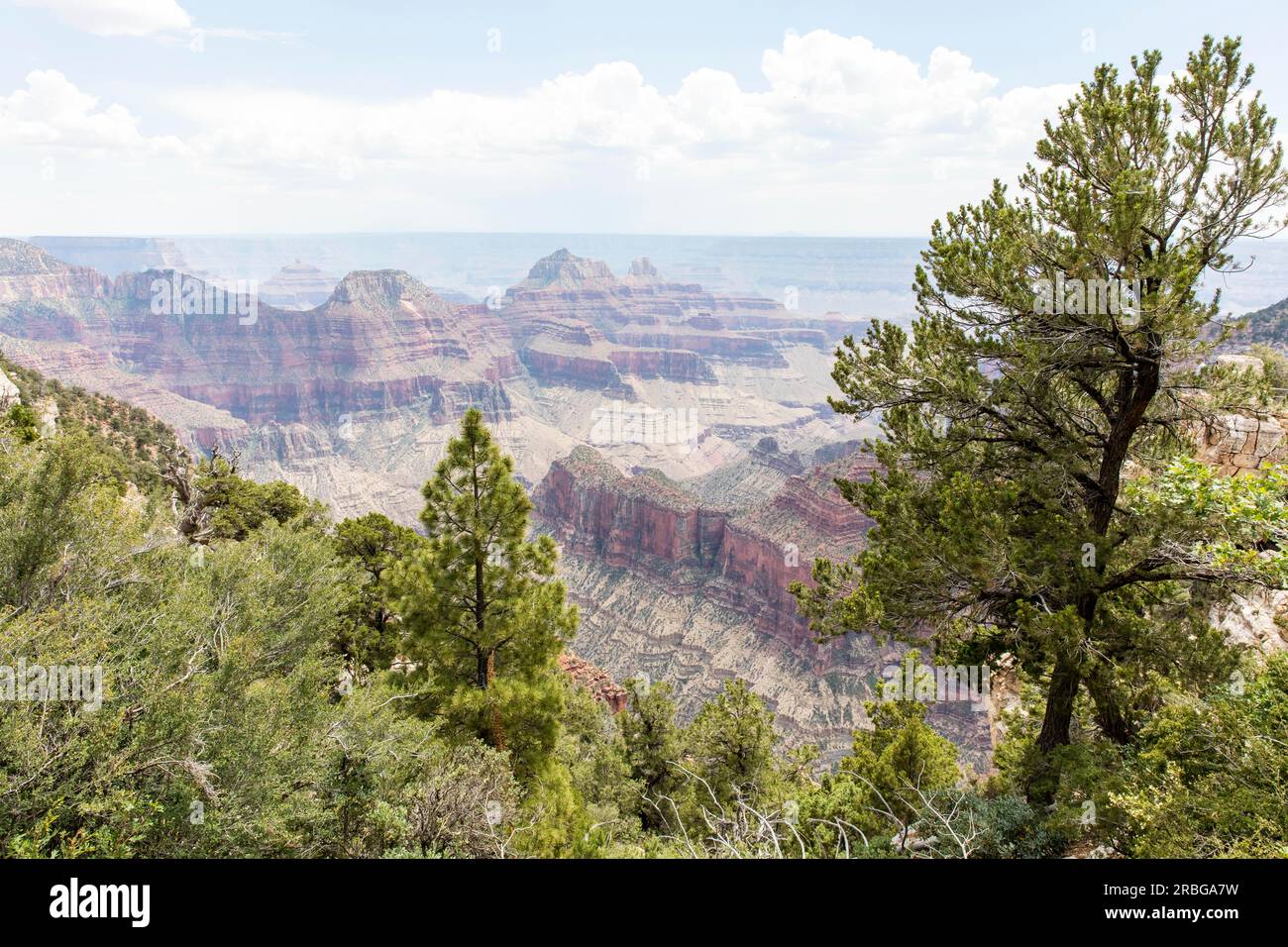 Scenic views of the Grand Canyon from the North Rim Stock Photo - Alamy