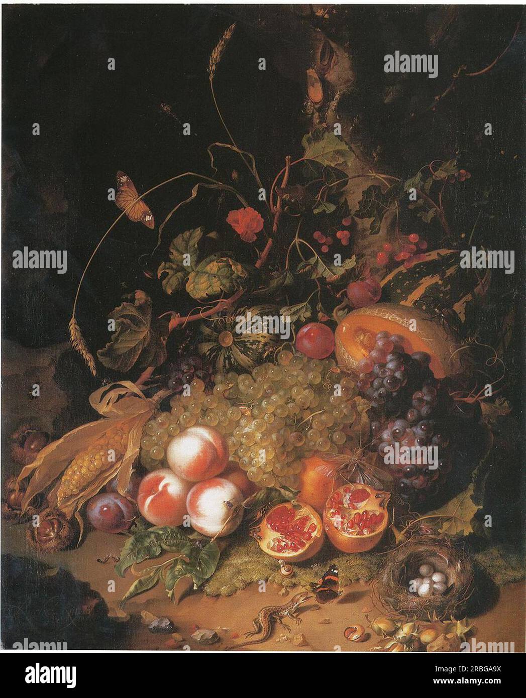 Still Life with Fruit a Nest and a Lizard 1710 by Rachel Ruysch Stock ...