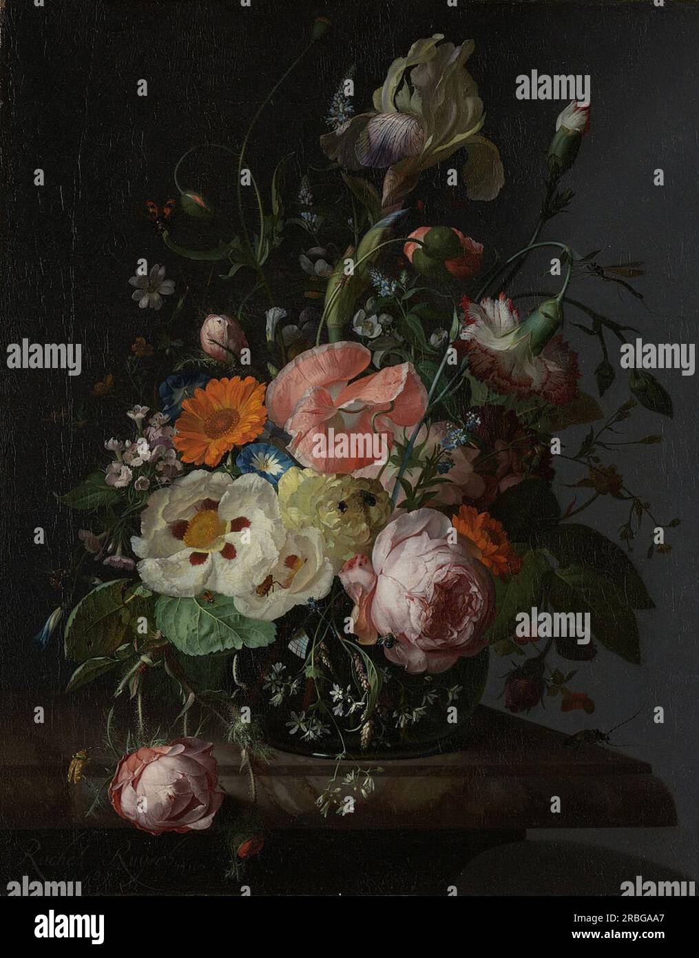 Rachel ruysch flower still life hi-res stock photography and images - Alamy