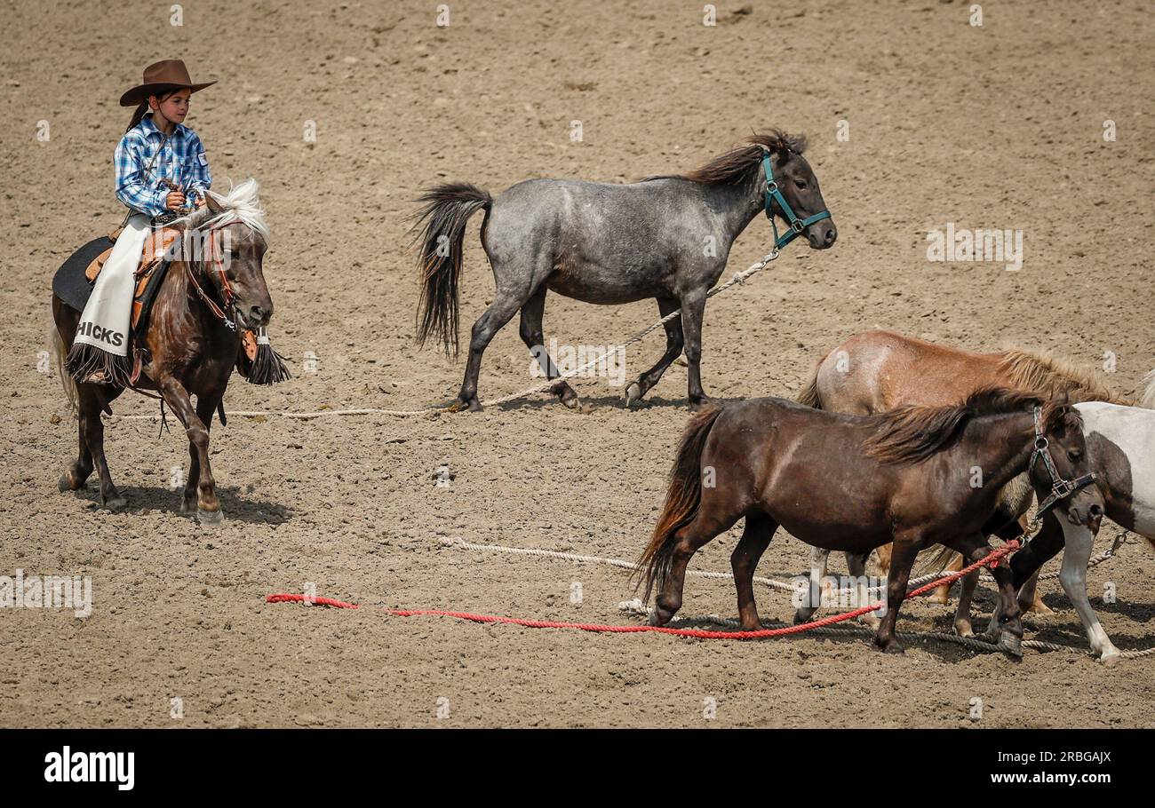 Calgary, Canada. 09th July, 2023. A young pick-up rider rounds up wild ...