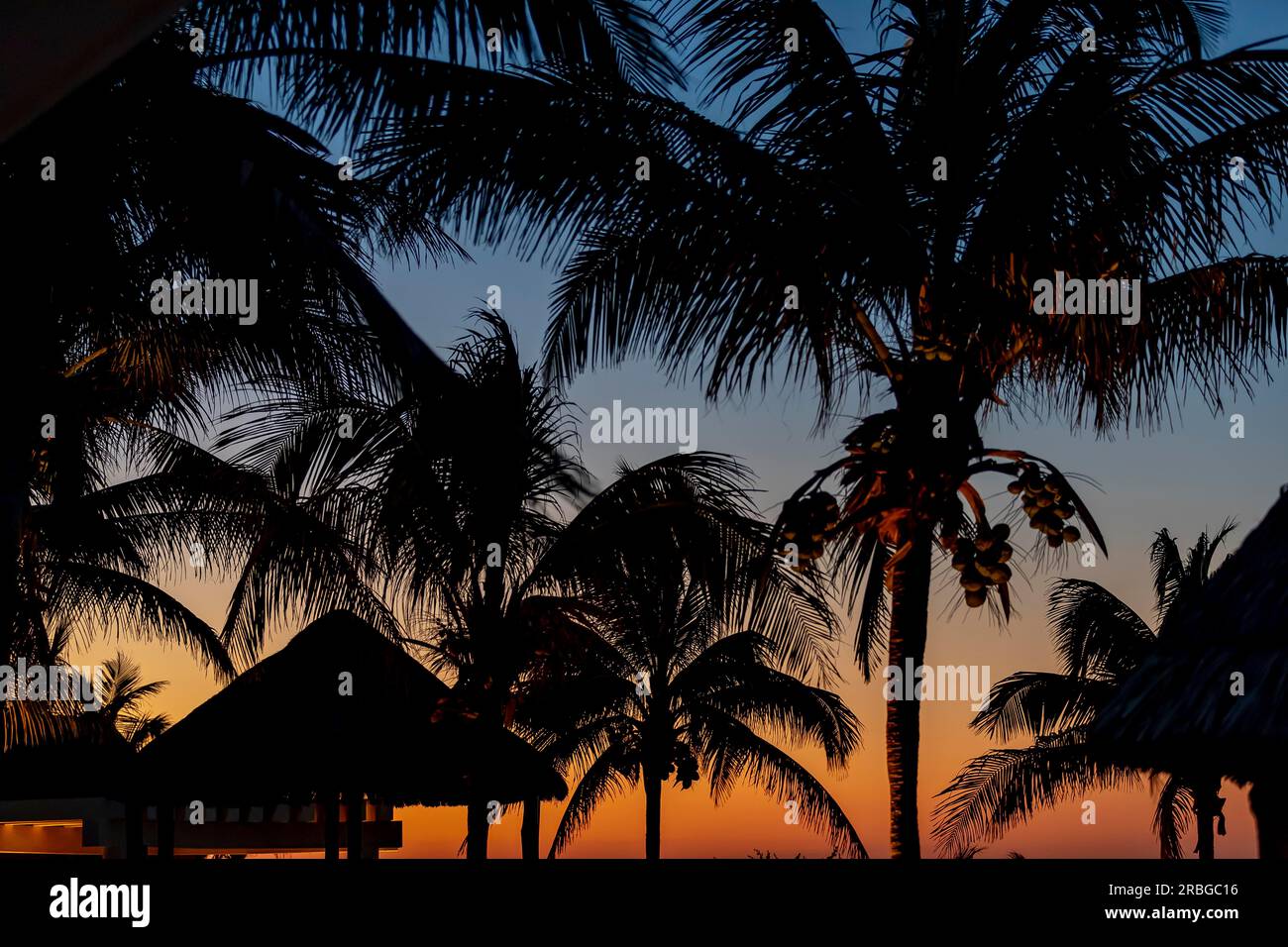 Ocean setting hi-res stock photography and images - Alamy