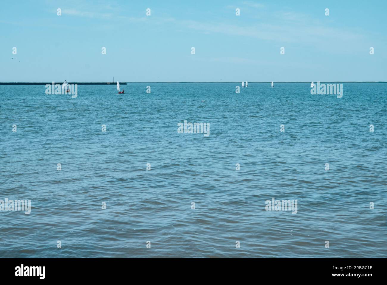 Sailing regatta of the junior class Stock Photo - Alamy
