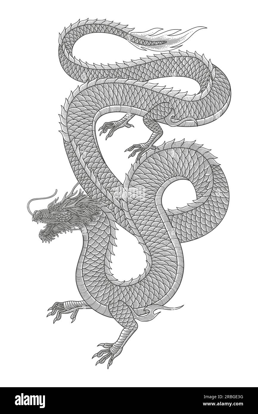 Japanese dragon vector vintage engraving drawing style illustration ...