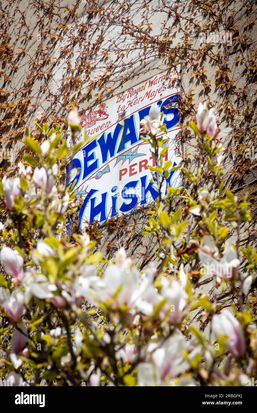Vintage enamel sign for Dewar's whisky on a wall Stock Photo - Alamy