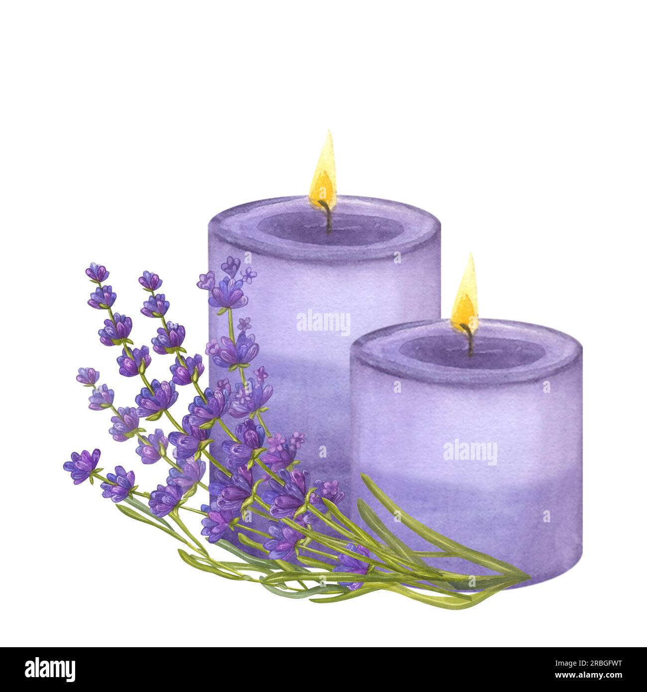 Gradient violet candles burning fire. Bouquet bunch lavender. Hand ...