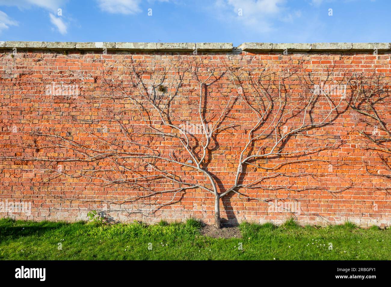 Growing method hi-res stock photography and images - Alamy