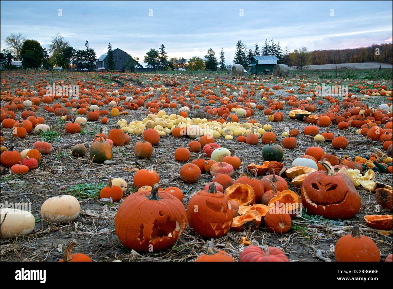 Autumn october sunrise agriculture field hi-res stock photography and ...