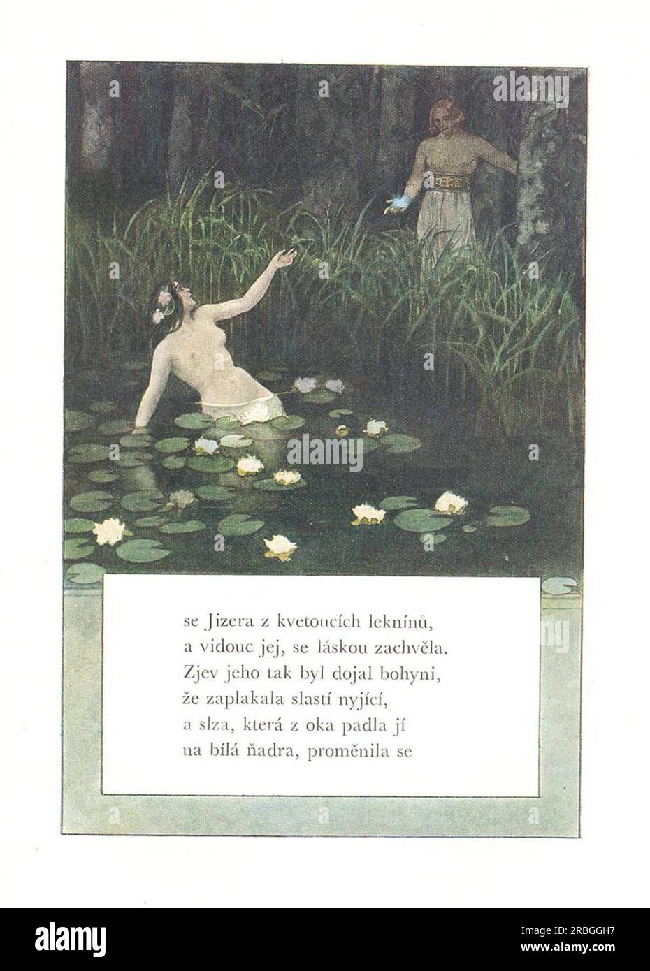 Artus scheiner Cut Out Stock Images & Pictures - Alamy