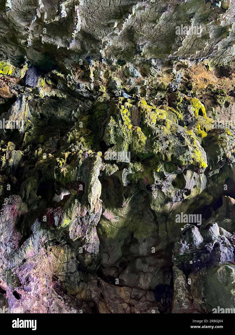 Inside the pigeon cave in Tipaza, Algeria Stock Photo - Alamy