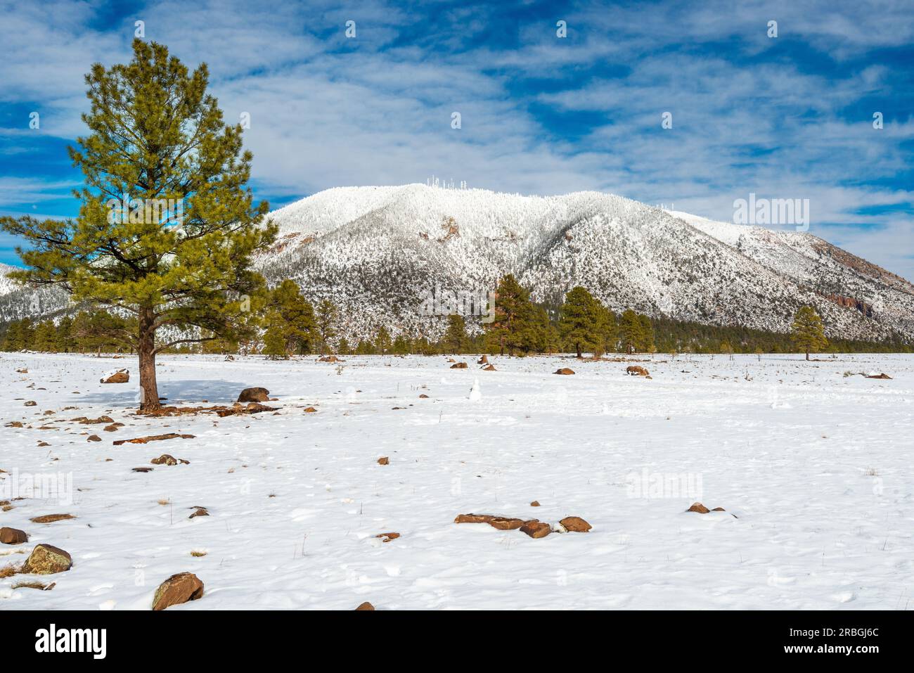 Snow with tree and hills Stock Photo - Alamy