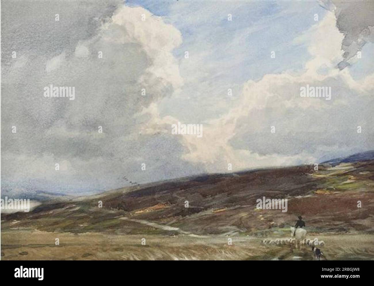 Sheep herding art hi-res stock photography and images - Alamy
