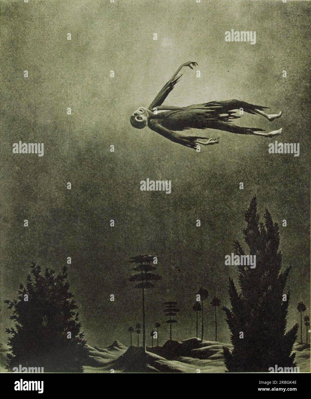 Ghosts on a tree hi-res stock photography and images - Alamy