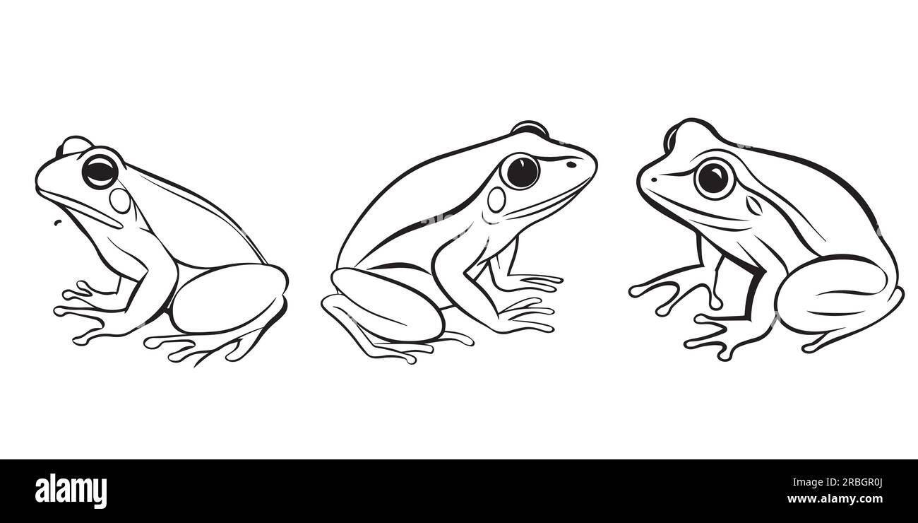 Images Of Frog Line Drawing