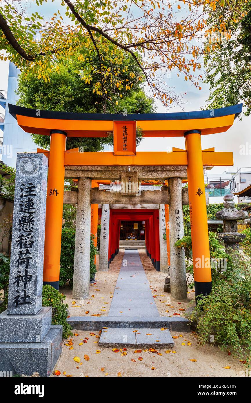 Fukuoka, Japan - Nov 20 2022: Kushida shrine in Hakata ward, founded in ...