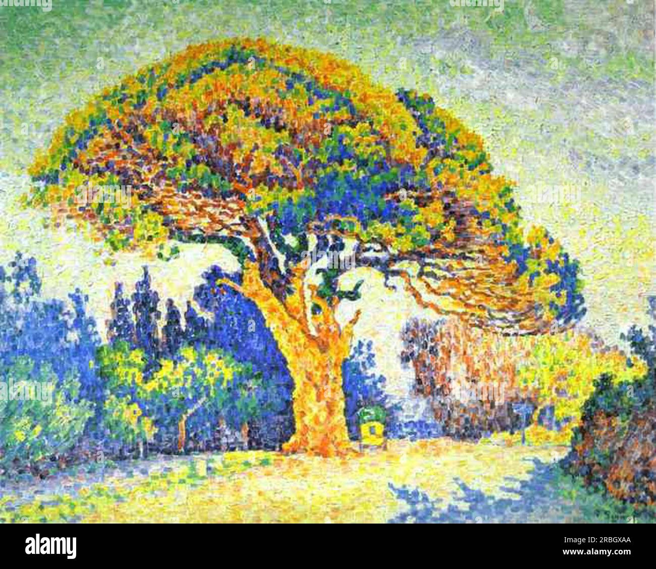 The Pine Tree at St. Tropez 1909 by Paul Signac Stock Photo - Alamy