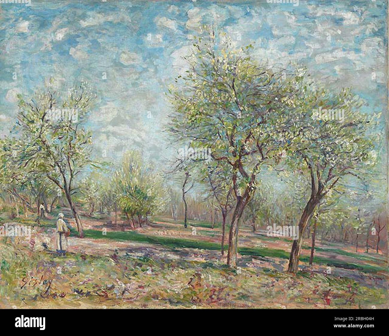 Apple Trees in Bloom 1880 by Alfred Sisley Stock Photo - Alamy