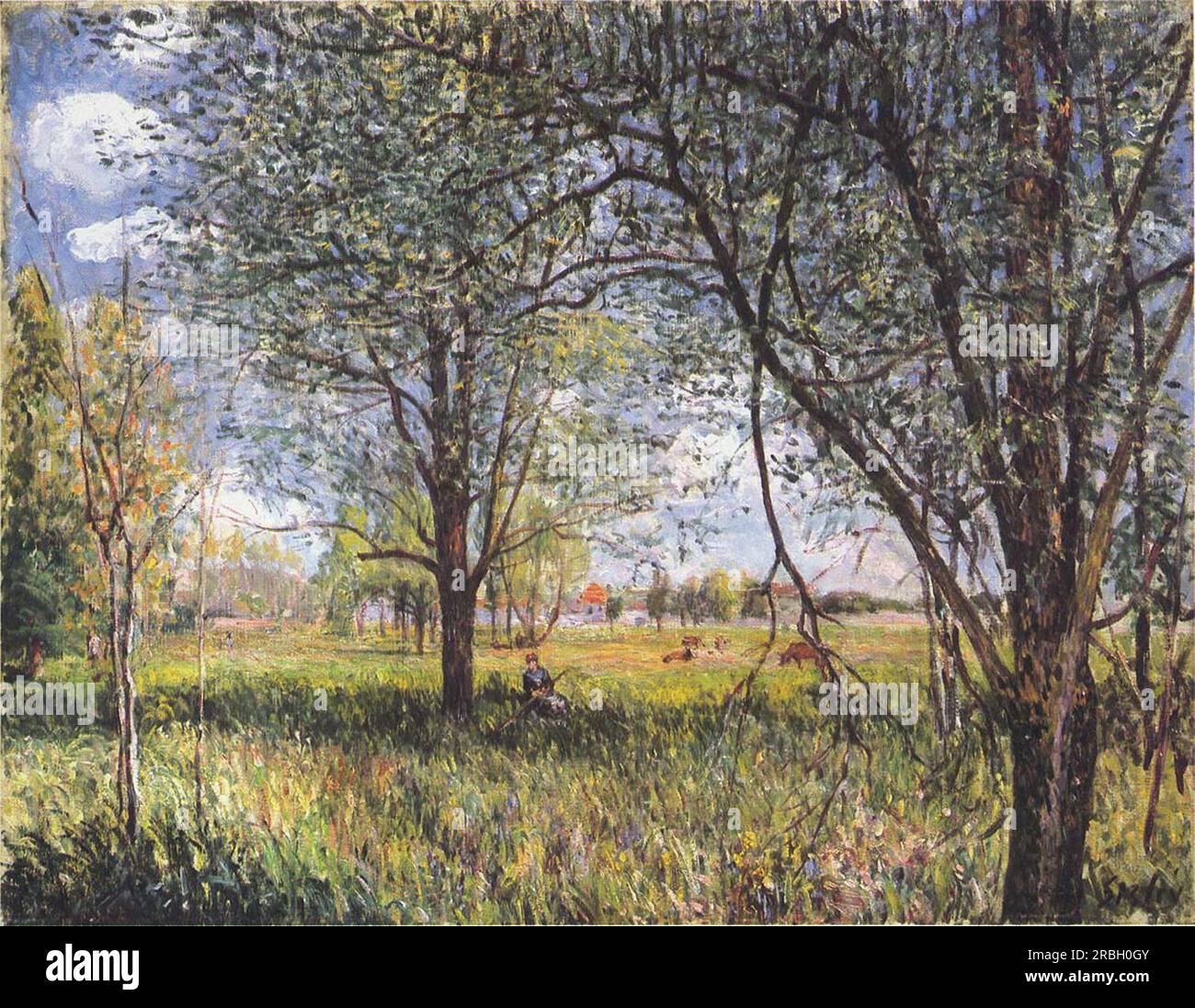 British willows hi-res stock photography and images - Alamy