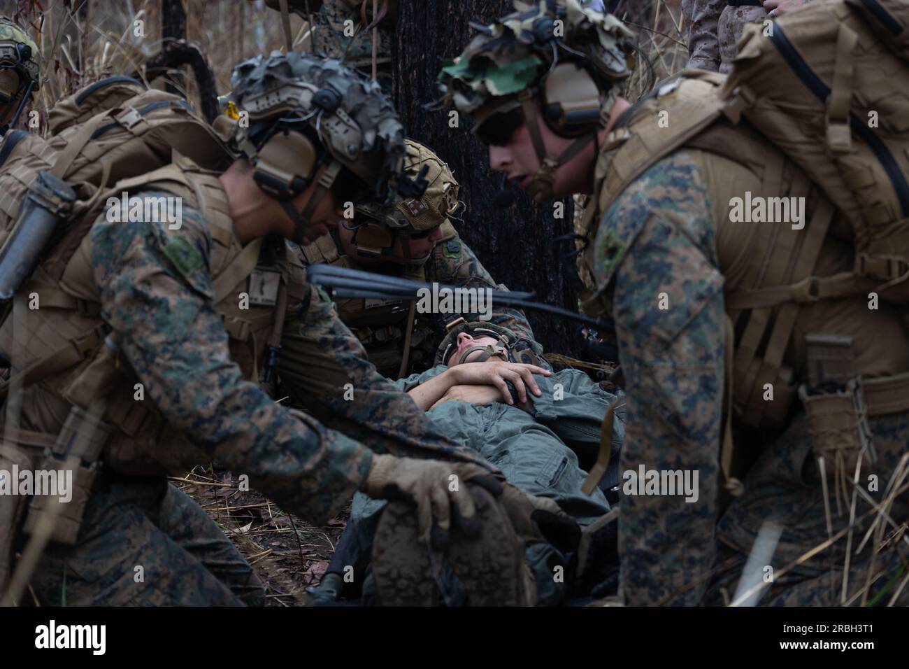 U.S. Marines with Battalion Landing Team 2/1, 31st Marine Expeditionary ...