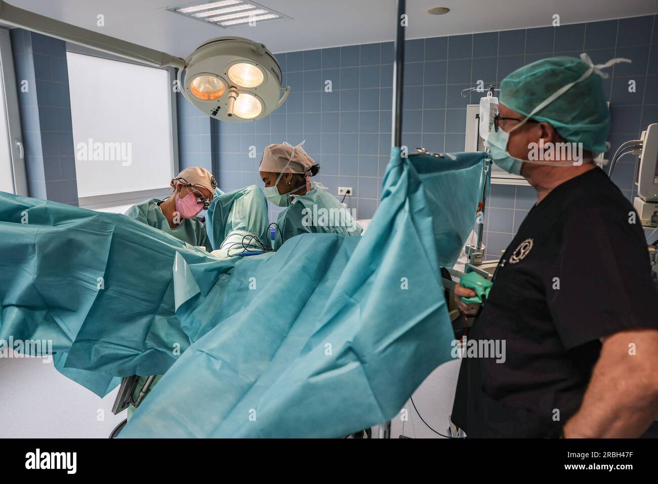 Genital area hi-res stock photography and images - Alamy