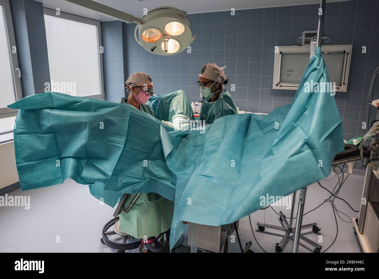 Genital area hi-res stock photography and images - Alamy