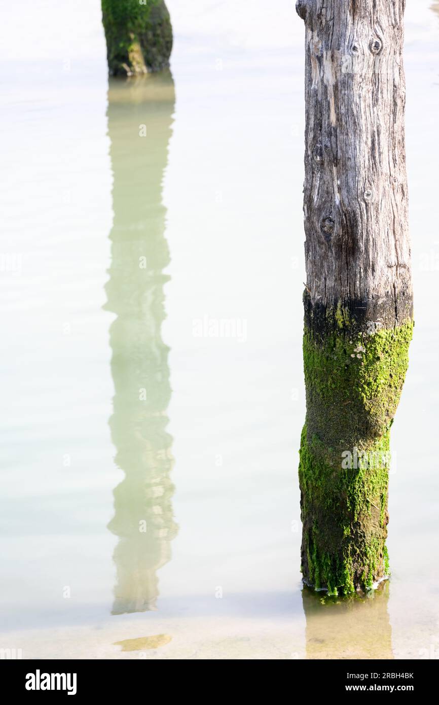 high-key photo of massive wooden piles planks for tying boats at the ...