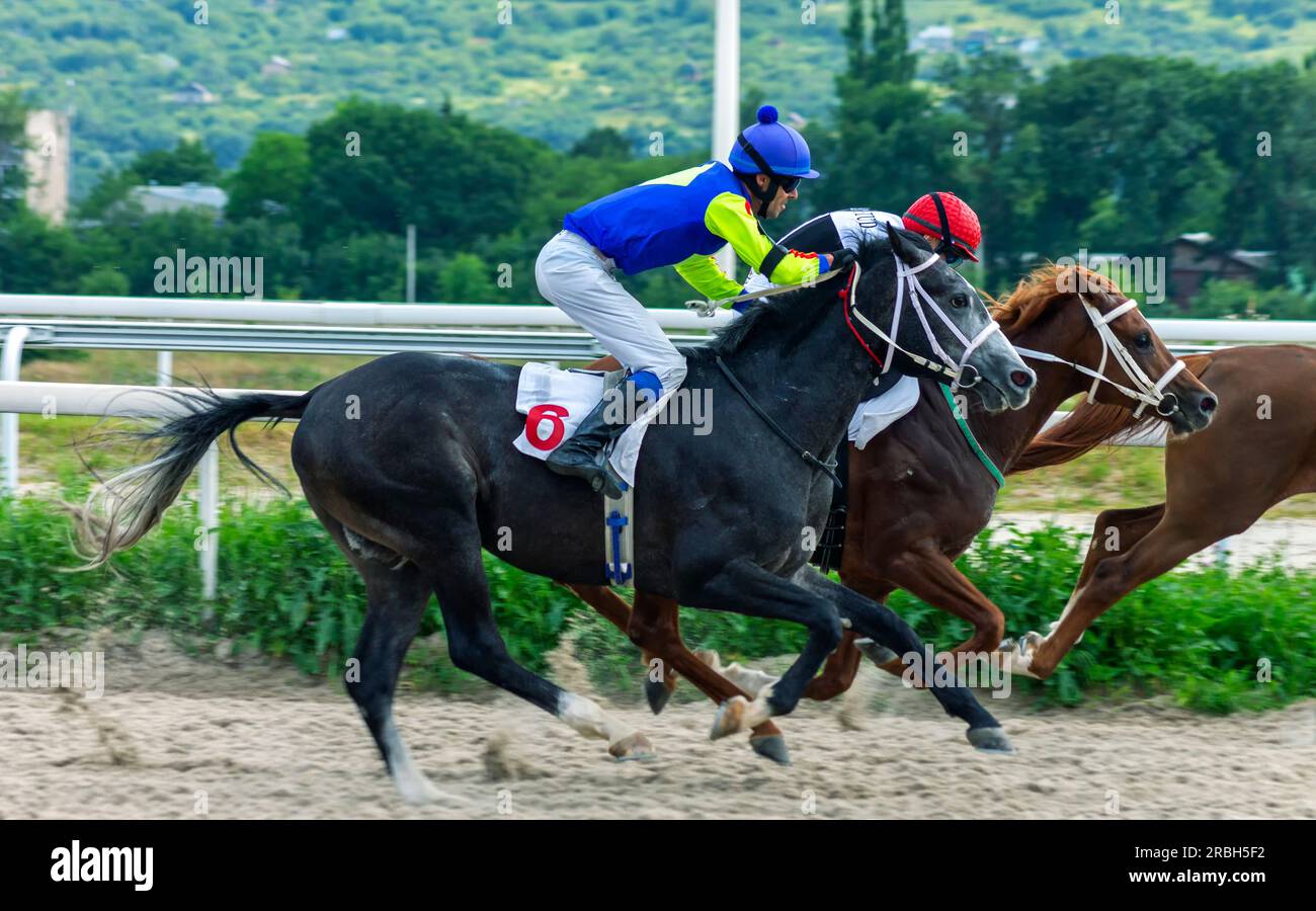 Start horse race for the Probni prize among arabian horses at the ...