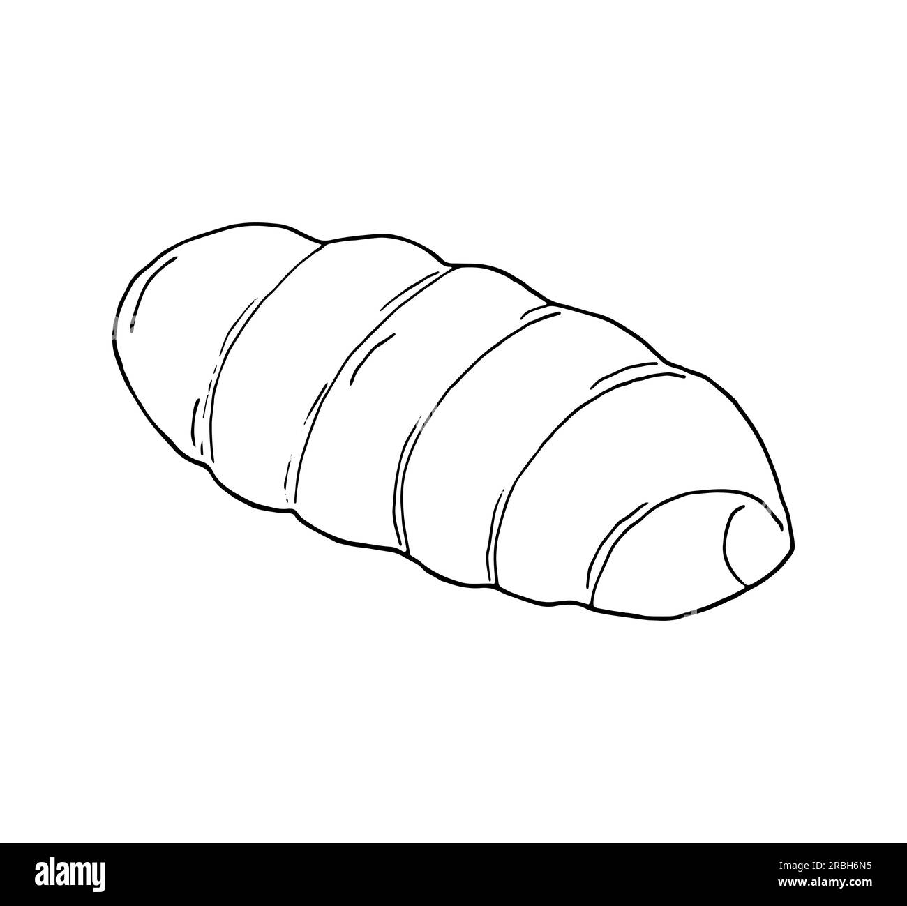 Hand-drawn simple rolled bun isolated vector illustration on white ...