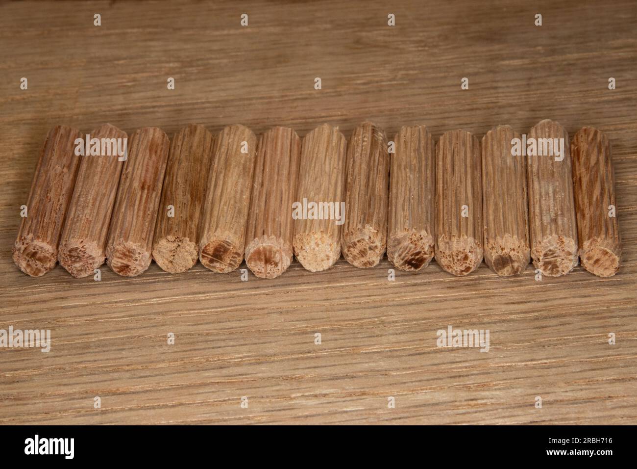 row of oak dowel pins on oak background, dowel pins used to join two ...