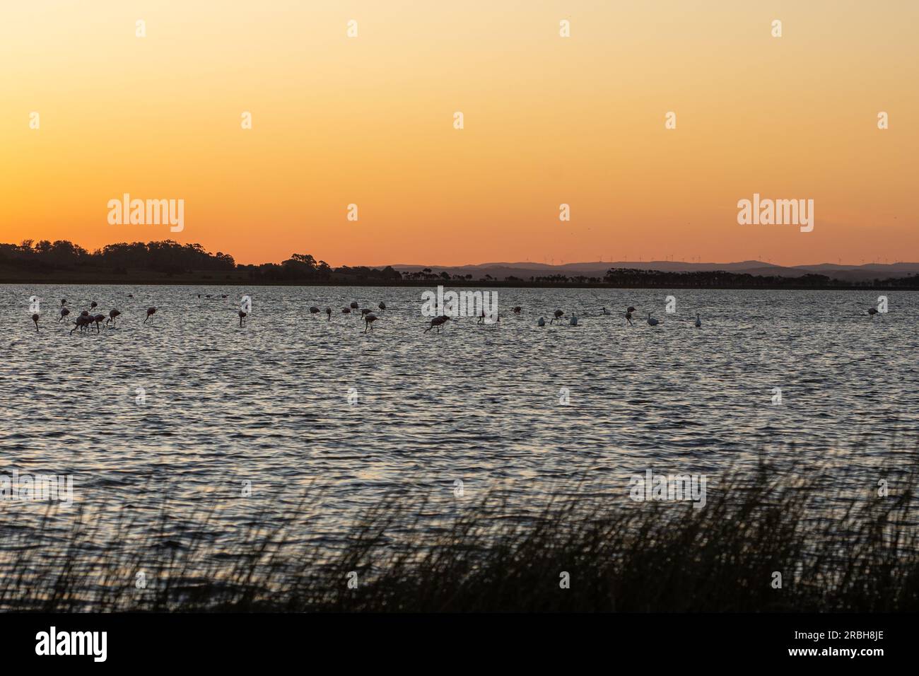 Laguna de rocha uruguay hi-res stock photography and images - Alamy