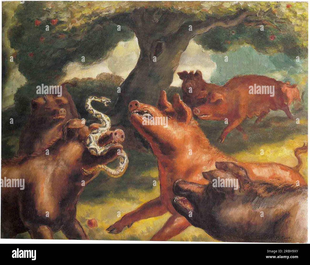 Animal killing snake hi-res stock photography and images - Alamy