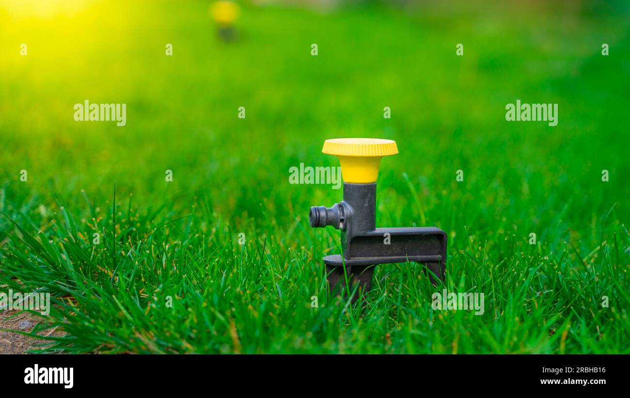 Yellow round universal lawn sprinkler set in green grass. Well-groomed ...