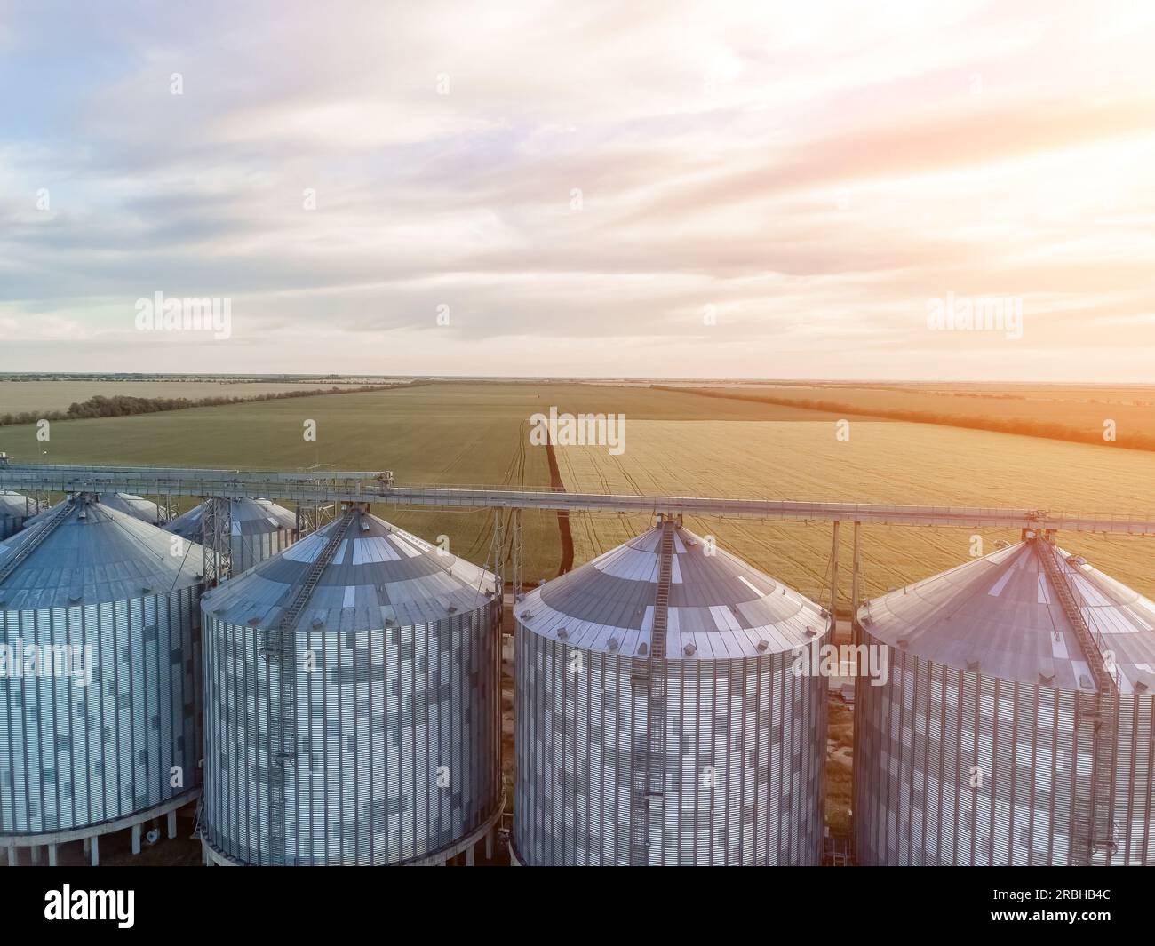 Grain silos on a green field background with warm sunset light. Grain ...